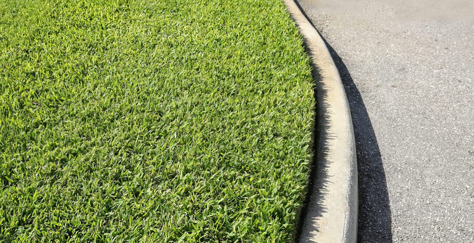 Bermuda Grass Care by Month: A Full-Year Calendar and Checklist ...